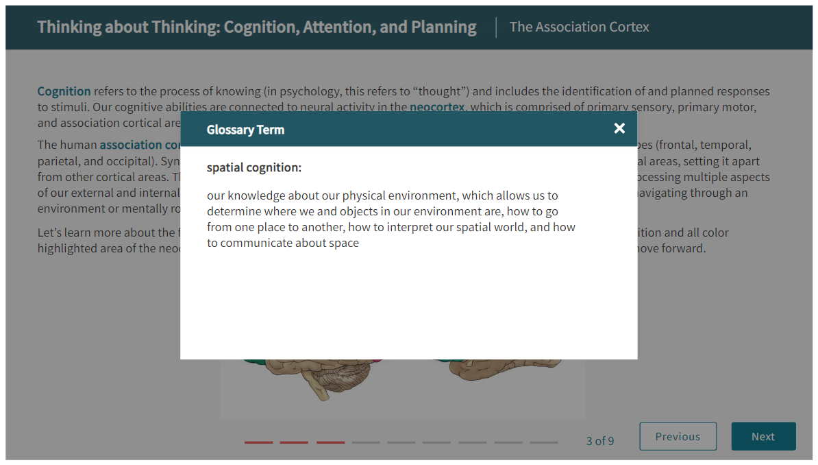 An Introduction to Brain and Behavior , 7th Edition | Macmillan Learning UK